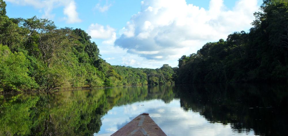 6 recomendaciones para viajar a la selva | Sotupa